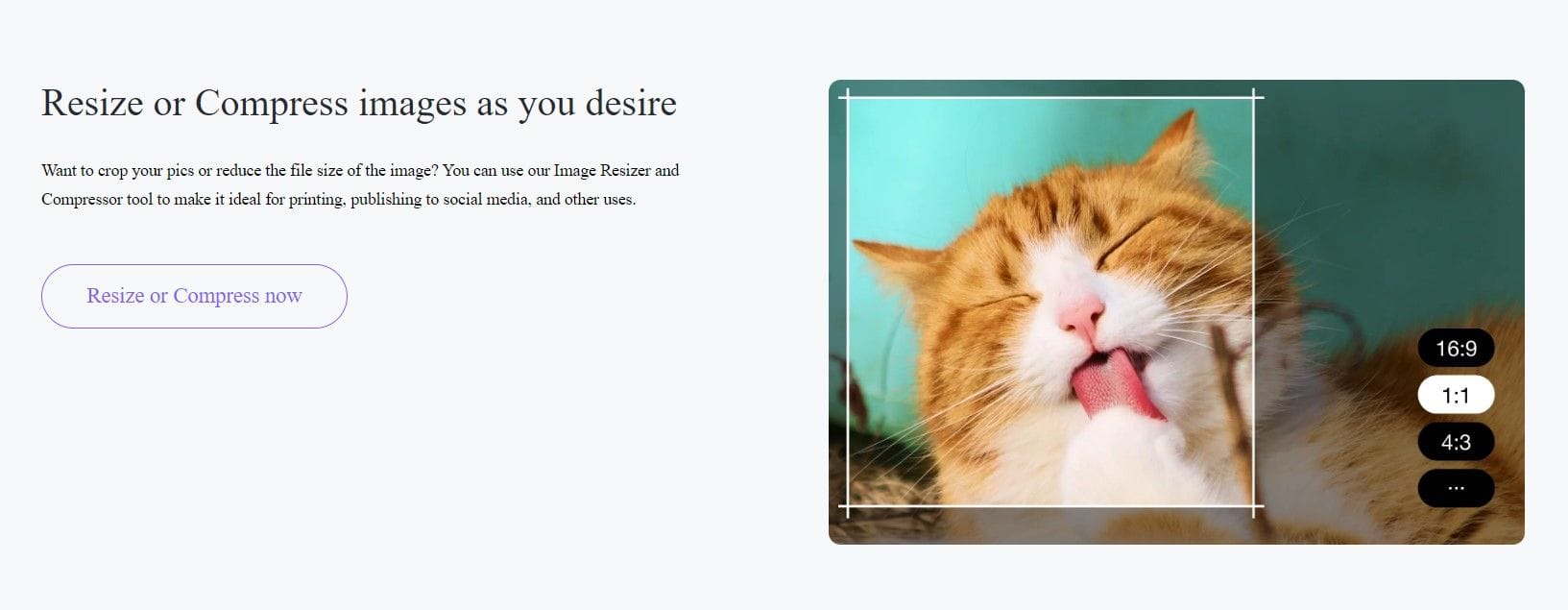Boolpic - An AI-powered toolkit transforming your pictures in seconds | Prototypr Toolbox